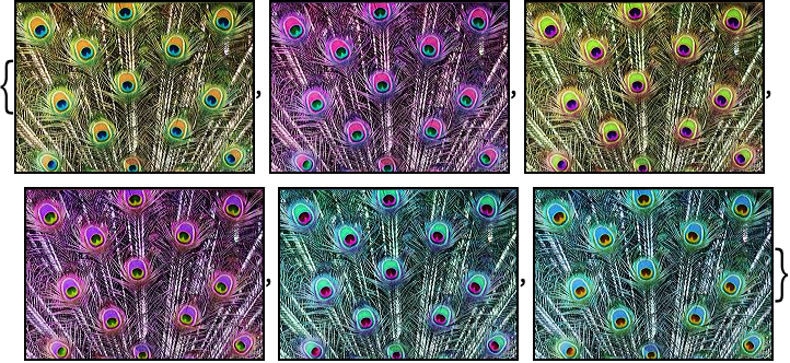 Import and Export Images—Wolfram Language Documentation