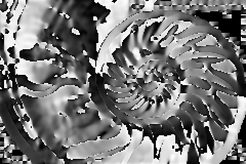 GradientOrientationFilter—Wolfram Language Documentation