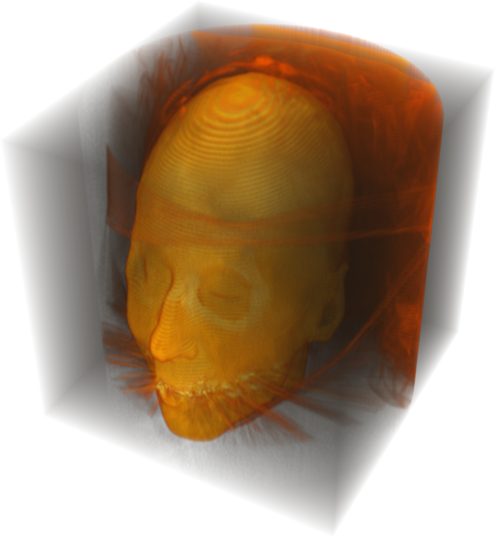 Volume Rendering & Processing—Wolfram Language Documentation