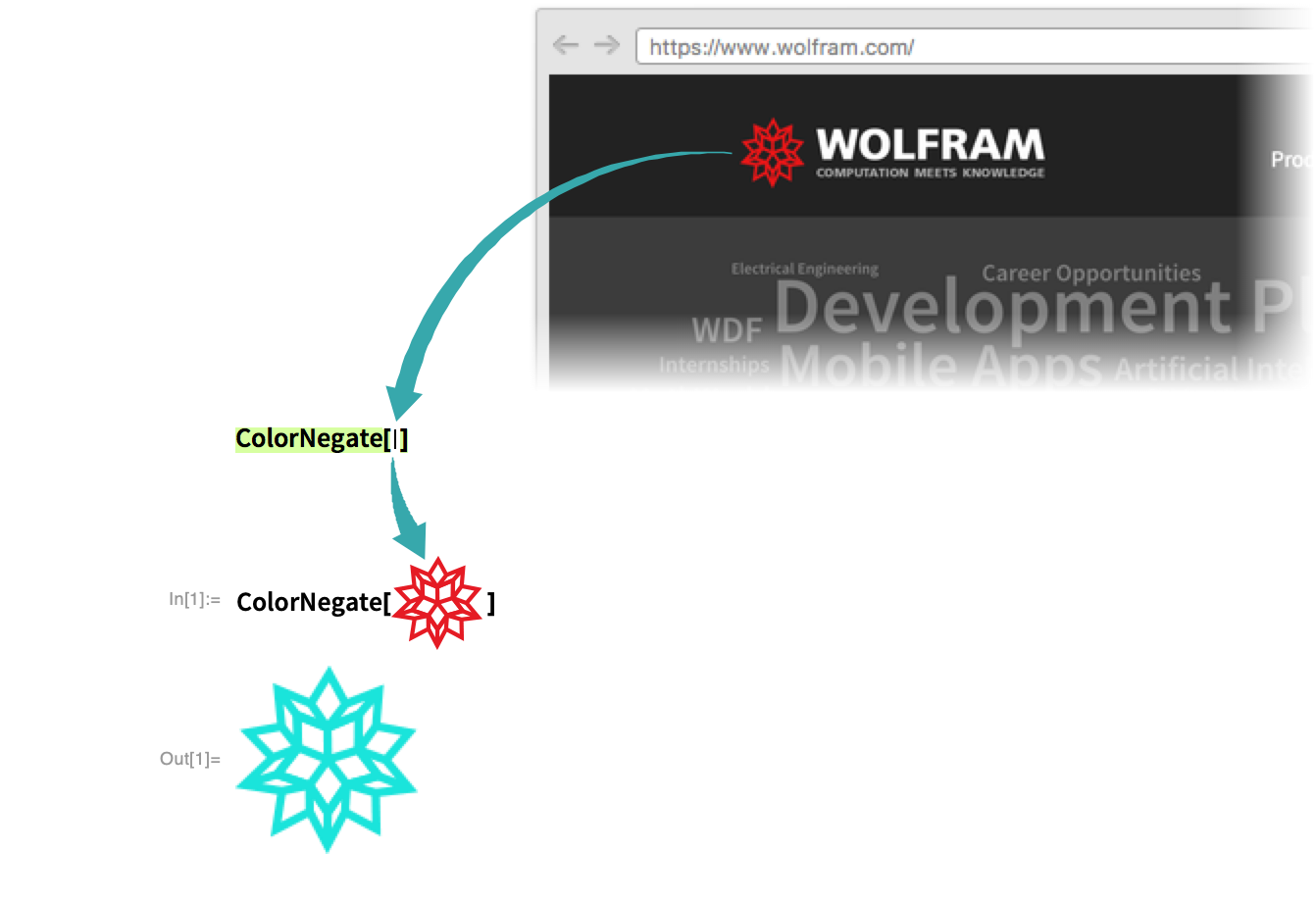 把图像导入笔记本—Wolfram Documentation